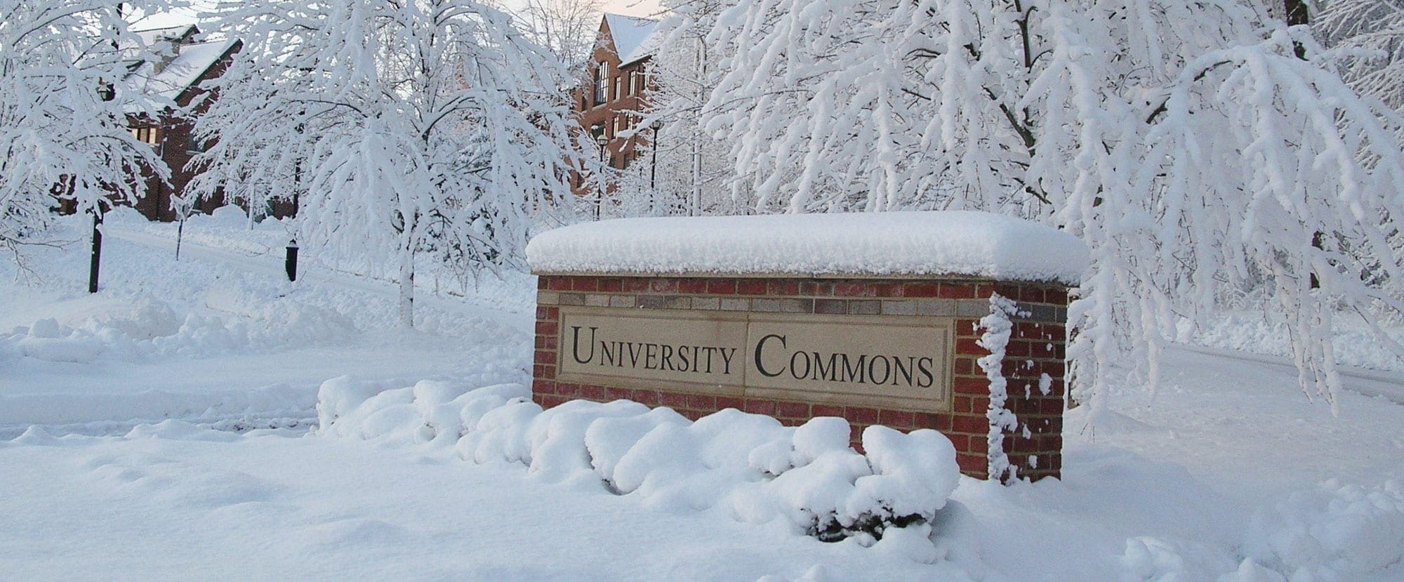 University Commons - An Active Adult Community in Ann Arbor